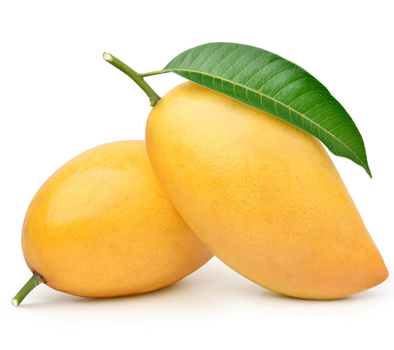 Pakistani Honey Mango Sindhri (1.2kg box) approx – Desi Store